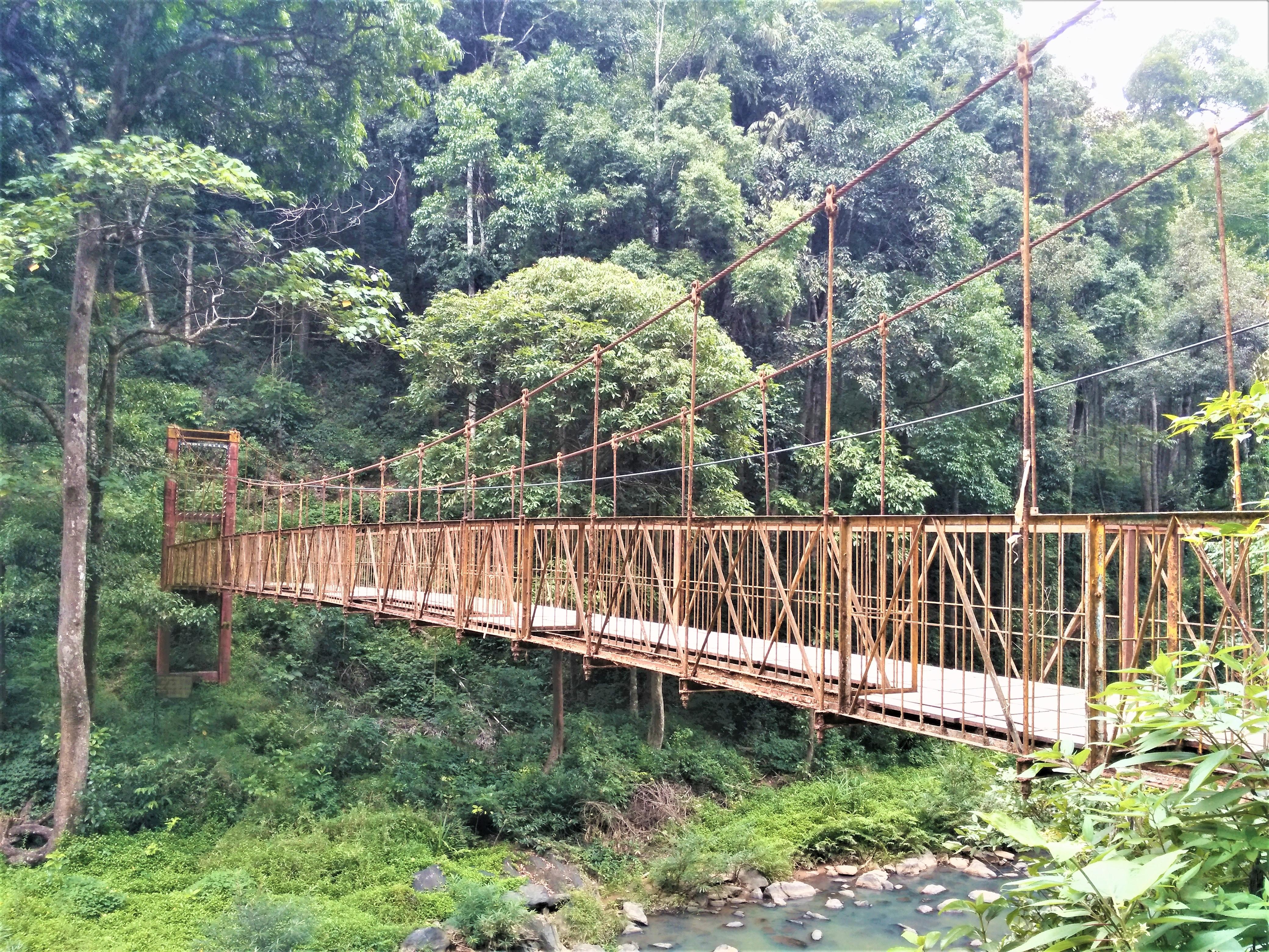 The Scotland Of India And Untouched Beach Paradises Of Coorg And Bekal ...