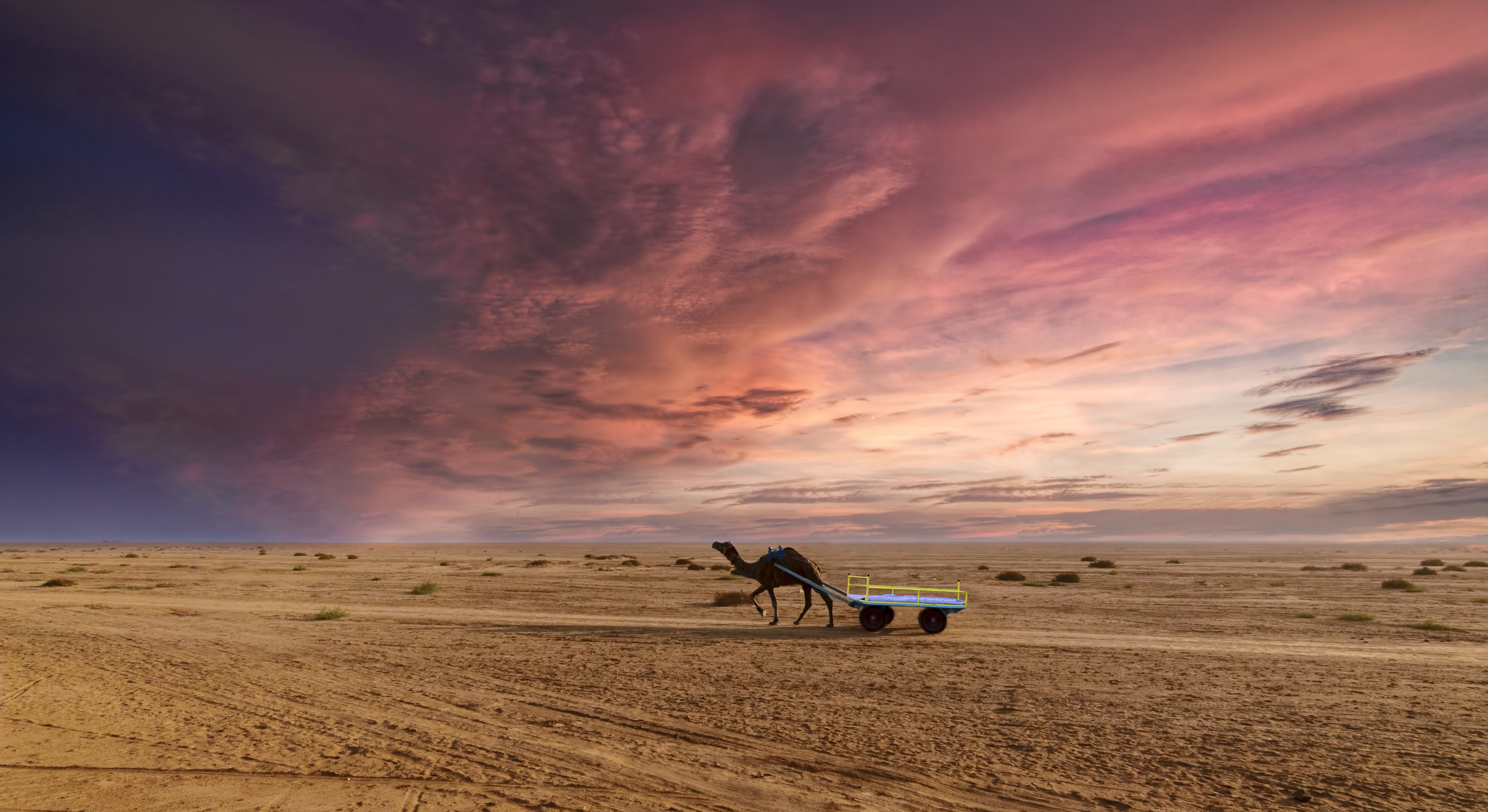 Gandhidham, Hodka With Bhuj and Dasada 5 Nights 6 Days Holiday Tour ...