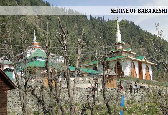 Kashmir Honeymoon Tour 8 Nights 9 Days Holiday Tour Package | Flamingo ...