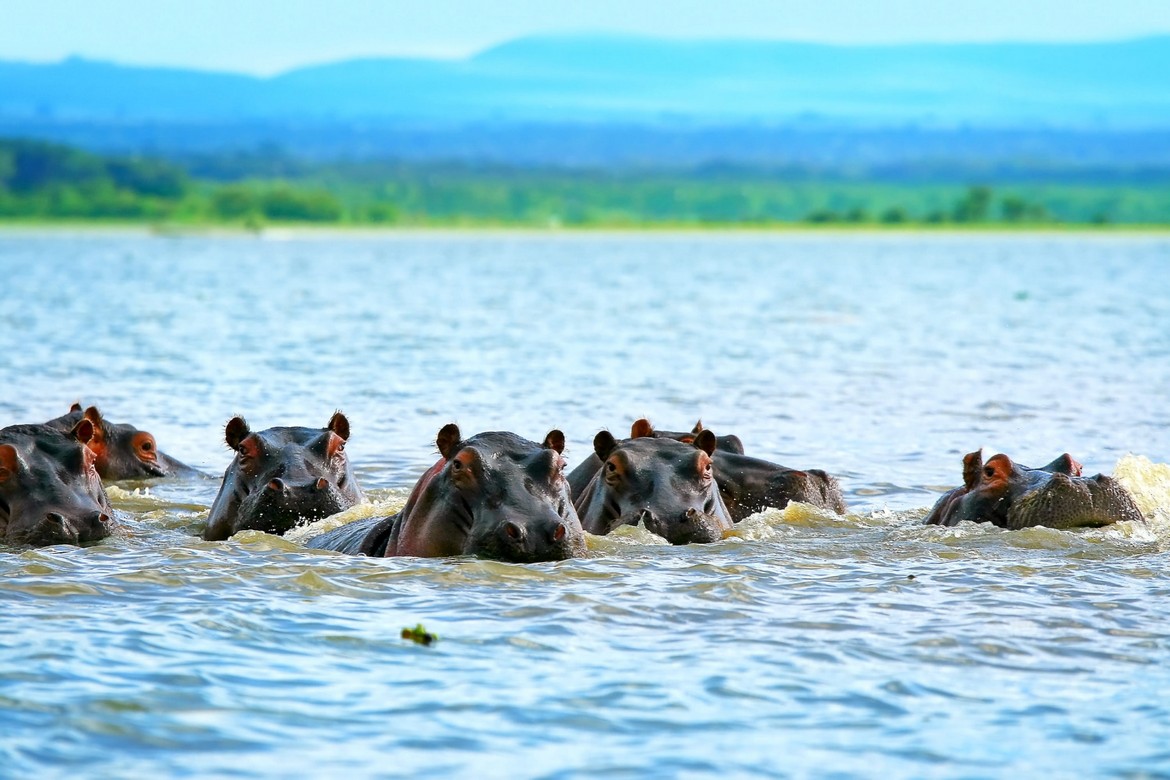 Kenyan Delight With Lake Naivasha 4 Nights 5 Days Holiday Tour Package ...