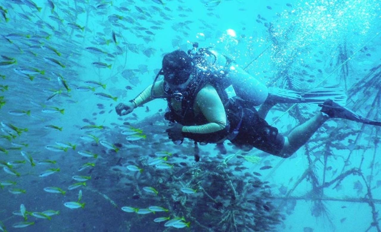 Scuba Diving Course For Beginners Pondicherry 3 Nights 4 Days Holiday ...