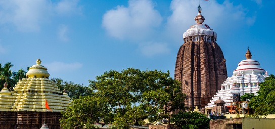 Book Odisha Tour Packages at best deals with Flamingo Travels in 2025