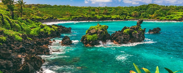 Hawaii Tours - Hawaii Tour Packages | Flamingo Travels