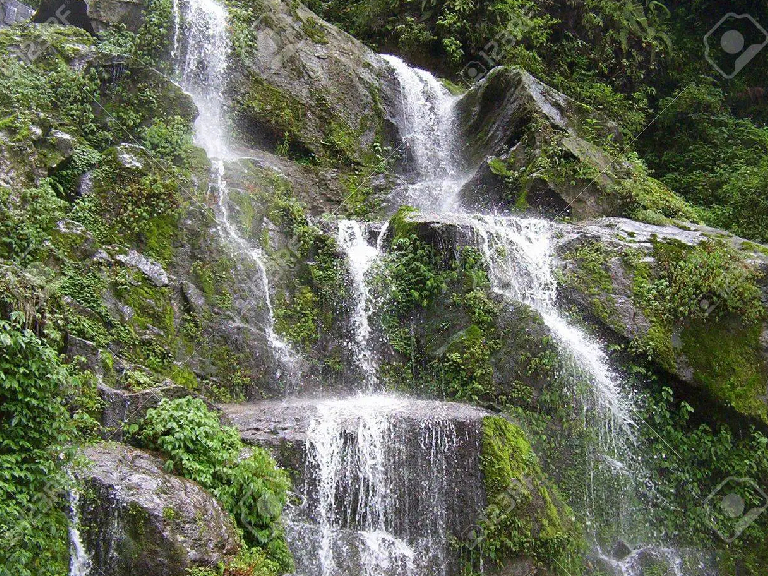 Explore Rimbi Waterfalls - Sikkim Travel Guide | Flamingo Travels