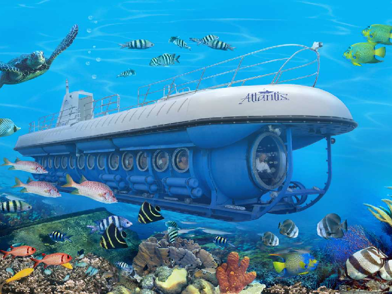 Go for a Submarine Ride in Maldives