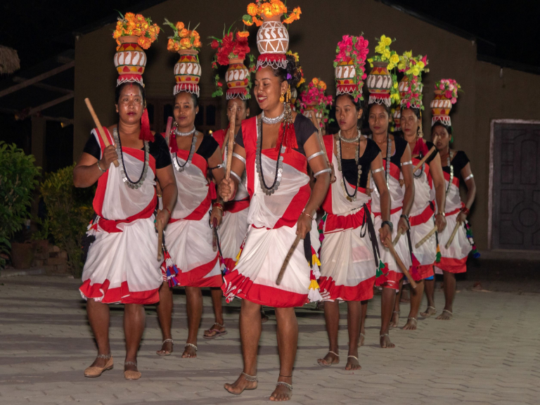 Experience the Tharu Cultural Show in Nepal | Flamingo Travels