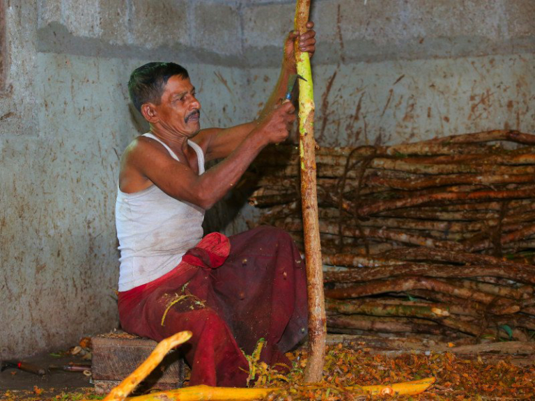 Visit Cinnamon Island - Sri Lanka Travel Guide | Flamingo Travels