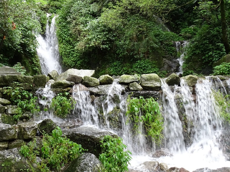 Panch Pulla – Experience The Magic Of Whispering Woods